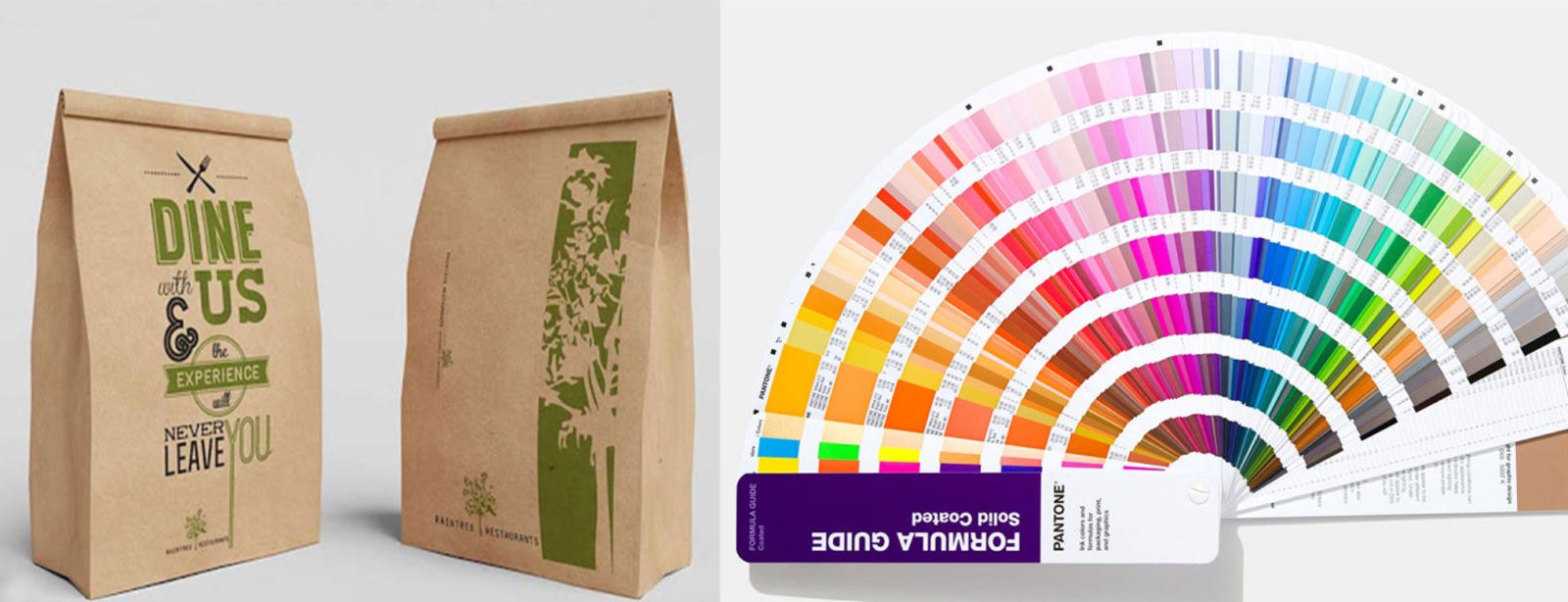 Discover Pantone: The Language of Color in Modern Design